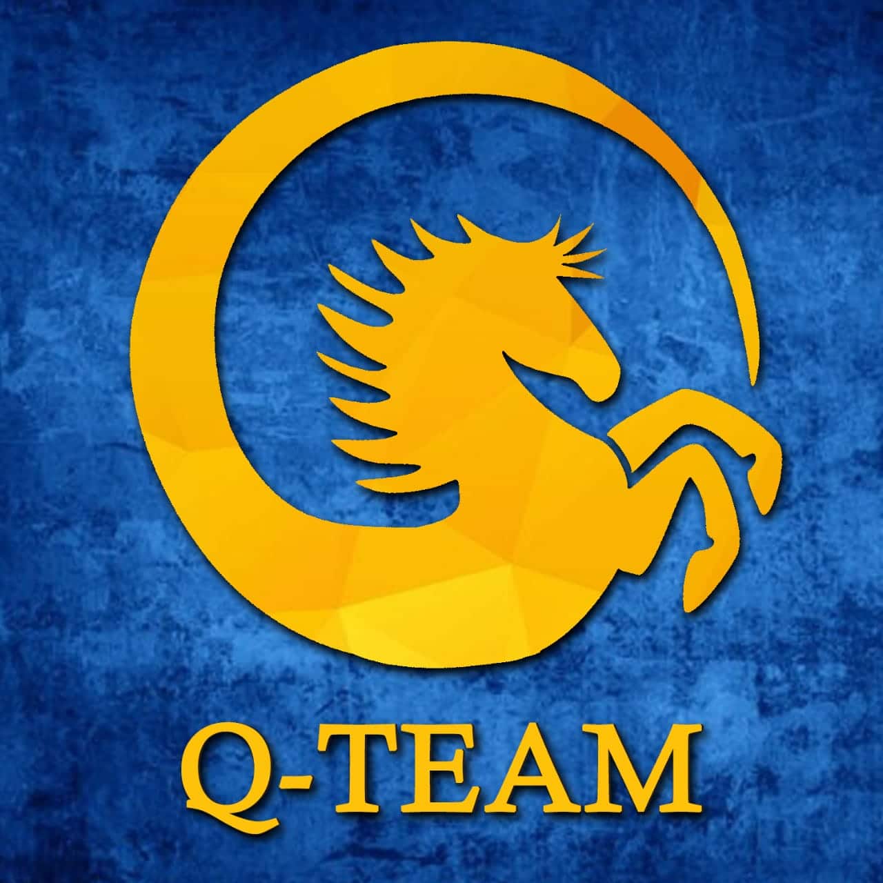 Q-Team - Premier & Leading B-School of India |Best MBA in Finance| Data ...